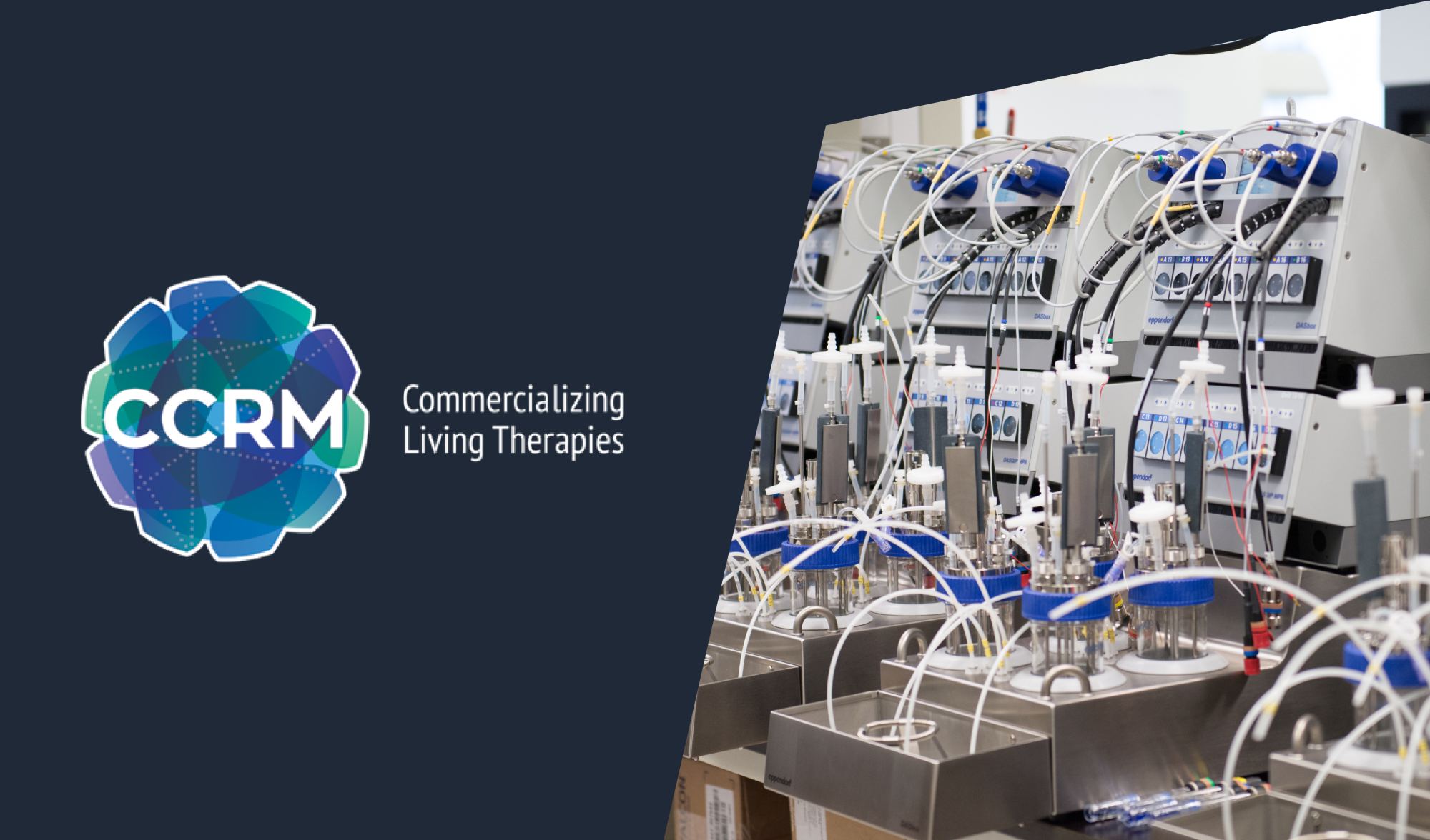 How CCRM is supercharging Canada’s cell & gene therapy ecosystem